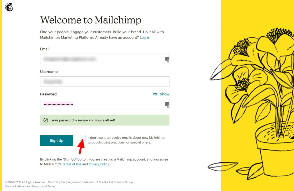 How to start a newsletter with Mailchimp & WordPress